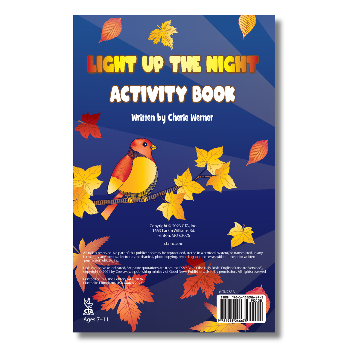 Christian Activity Book for Ages 6+- Light Up the Night